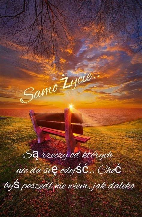 Pin di Ewa Jackowska su Cytaty życiowe Citazioni brevi Citazioni