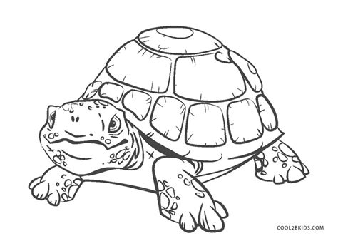 Dibujos de Tortugas para colorear Páginas para imprimir gratis