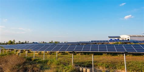 Qué es la energía agrovoltaica y por qué es el futuro Repsol