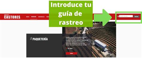 Rastrea tu envío en Castores Localiza tu paquete al momento