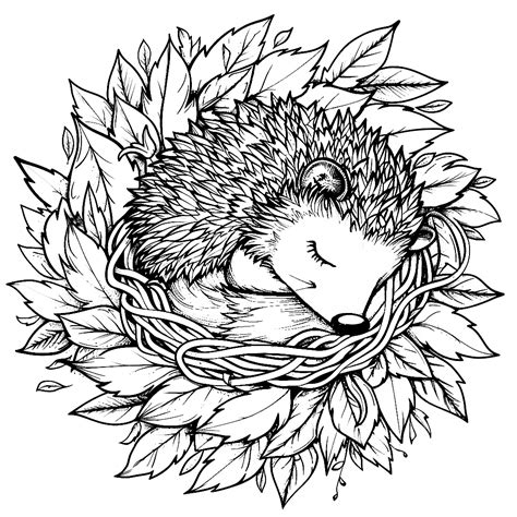 Igel Stacheln Ausmalbild Kostenlos Herunterladen