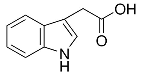 Indole Acetic Acid Plan T Cell Culture Merck Life Sciences Vietnam