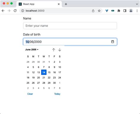 ReactJS Date Picker