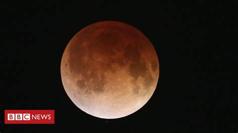 Eclipse lunar o que você precisa saber sobre a lua de sangue desta
