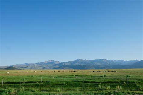 Banco de imagens panorama grama horizonte montanha céu campo
