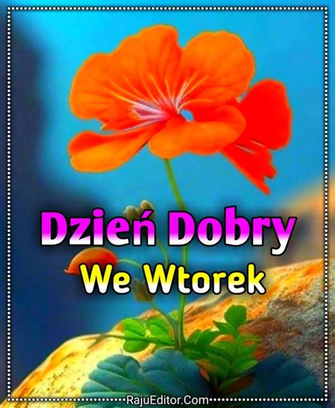 1500 Dzień Dobry we Wtorek Kartki Obrazki Nowy Bezplatny 2024