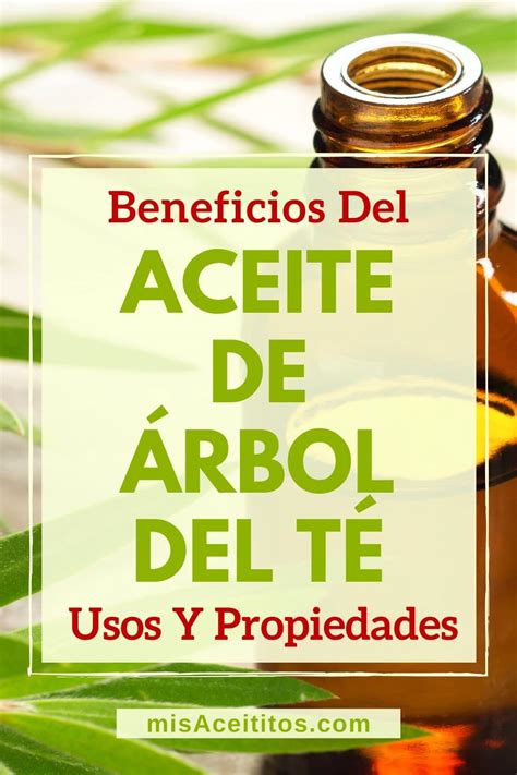 Aceite de Árbol de Té Propiedades Beneficios y Cómo Usarlo