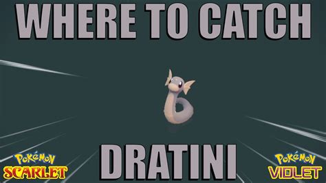 Where To Catch Dratini In Pokemon Scarlet And Violet Dratini Location