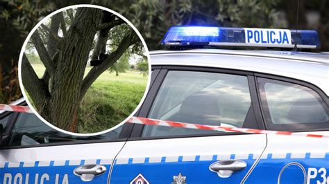 Dobczyn Ciała 13 latek wisiały na drzewie Wiadomo co ustaliła