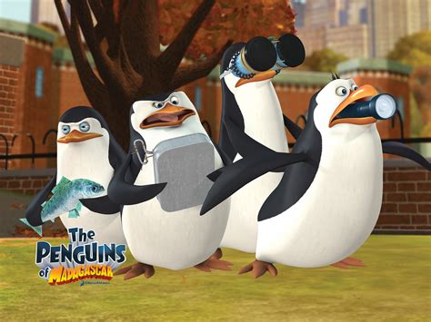 Prime Video Os Pinguins de Madagascar 1ª Temporada