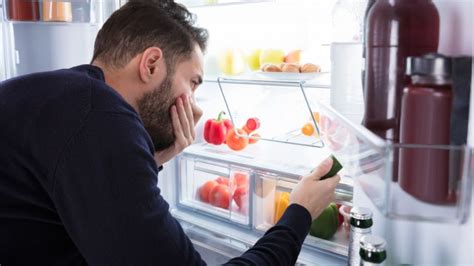 Consejos Para Quitar El Mal Olor De La Nevera