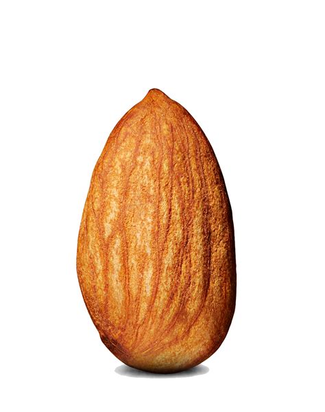 Almond PNG Transparent Images