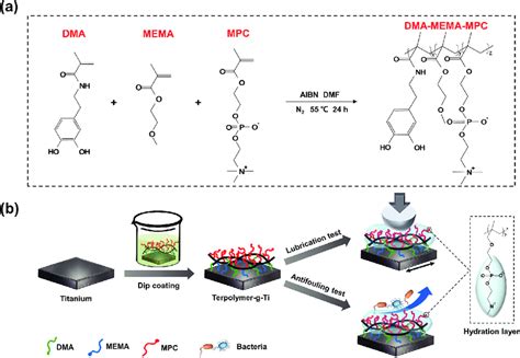 a the synthesis process of dma mema mpc and b illustration showing download scientific