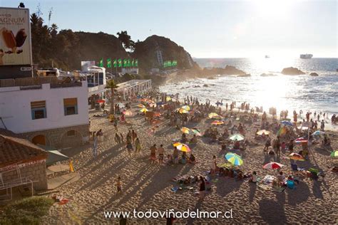 Qu Hacer En Playa Las Salinas En Vi A Del Mar