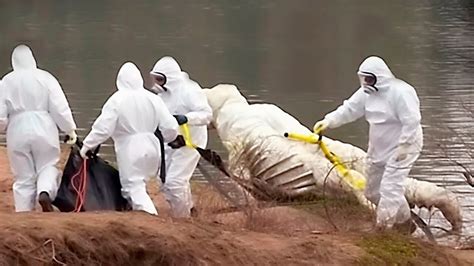 El Río Éufrates FINALMENTE se Secó pero Ahora Algo TERRIBLE ha