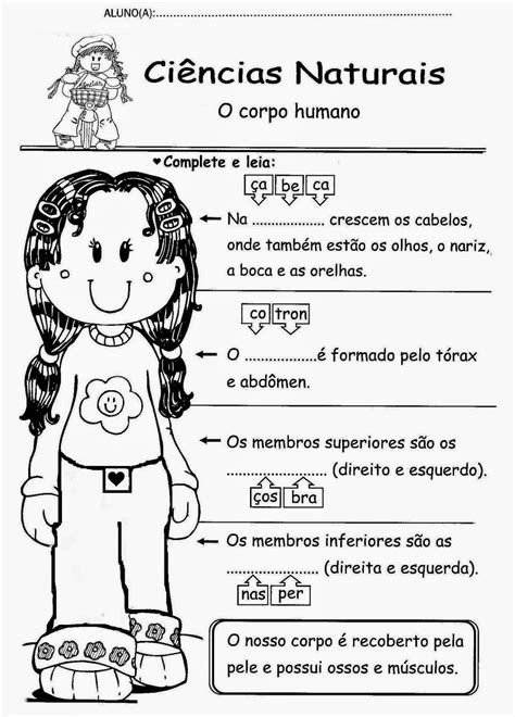 Escola Abc Atividades De Ci Ncias Ano Corpo Humano