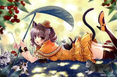 Fondos de pantalla ilustración gato Nekomimi Anime Chicas anime