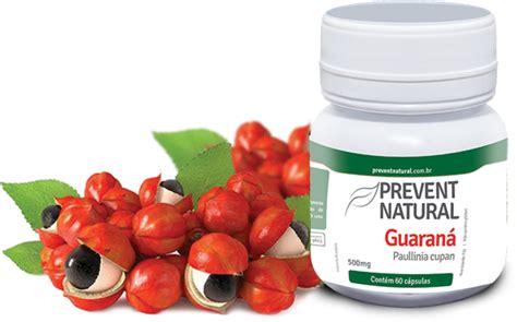 Download Guaraná Prevent Natural Guarana Seed PNG Image with No