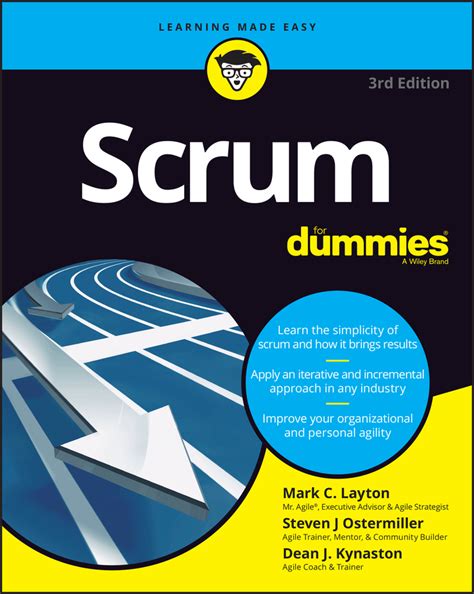 the function of the scrum and sprint within an agile project dummies