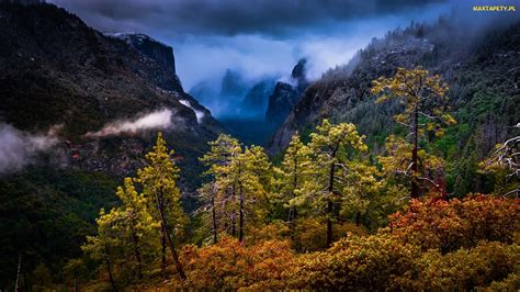 Tapety zdjęcia Las Góry Park Narodowy Yosemite Stany Zjednoczone
