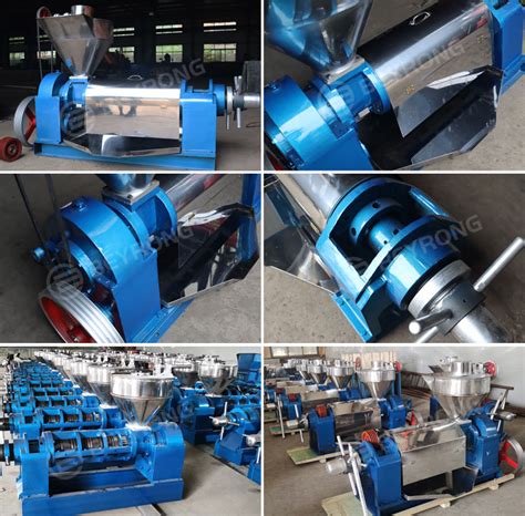 Screw Oil Press