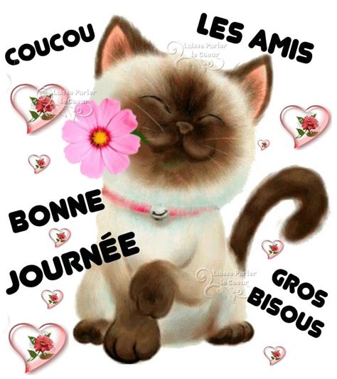 ᐅ 172 Bonne journée images photos et illustrations pour facebook