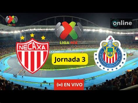 Chivas Vs Necaxa En Vivo Hoy Jornada 3 Liga MX Apertura 2023