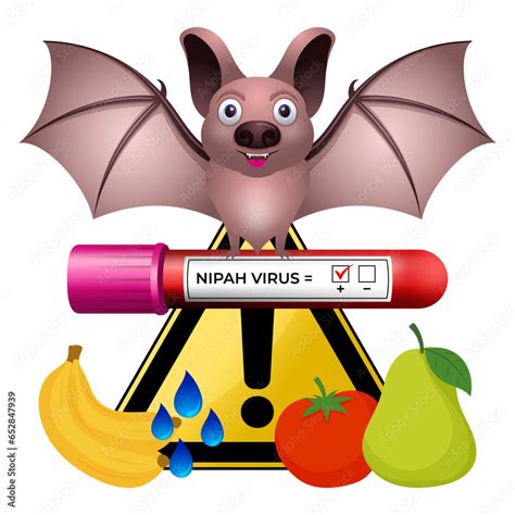 Nipah Virus Niv Transmitted By Bats And Fruit Causes Severe Disease