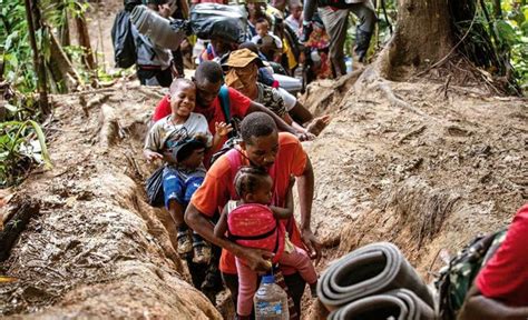 Más de 200 000 migrantes atravesaron la selva del Darién en 2023 un