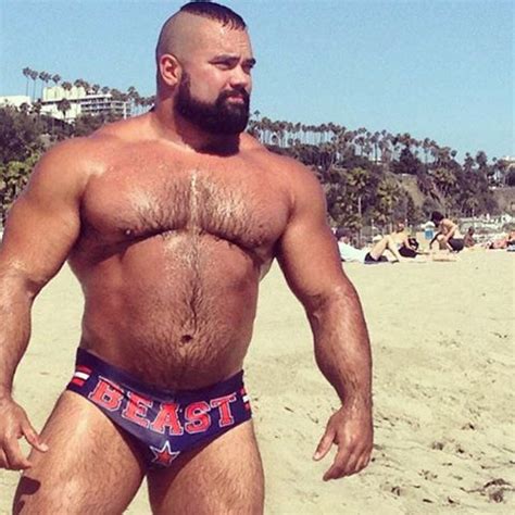 Stocky Bear Tumblr Telegraph