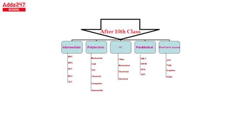 What To Do After 10th Best Career Options After Class 10th