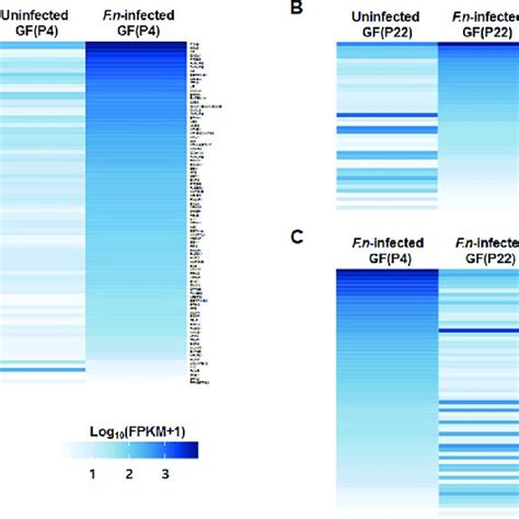 Heat Maps For The Different Gene Expression Comparisons A Heat Map