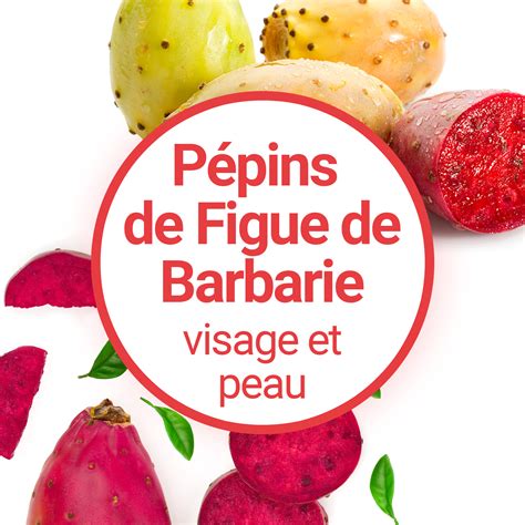 Les bienfaits de lhuile de Pépins de Figue de Barbarie sur la peau et