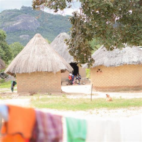 Environmental Social Governance Premium Tobacco Group