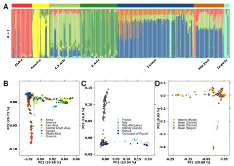Population Analysis With HGDP CEPH SNP Data A ADMIXTURE Cluster Plot