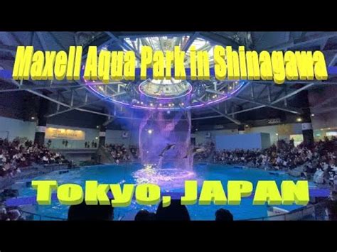 Maxell Aqua Park In Shinagawa The Best Convenient Aquarium In Tokyo
