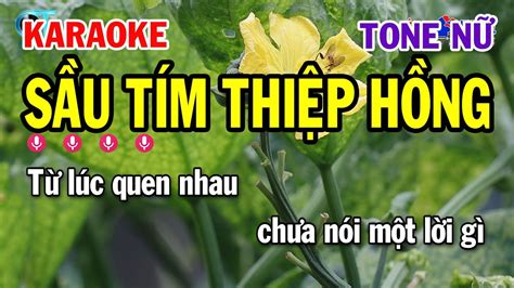 Karaoke S U T M Thi P H Ng Tone N Am Nh C S Ng Si U Th Youtube