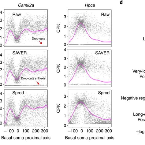extensive noise in spatially resolved transcriptomics data a spatial download scientific