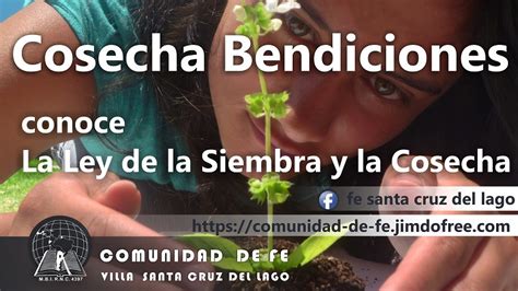 Cosecha Grandes Bendiciones De Parte De Dios En Este Y Cada D A Conoce