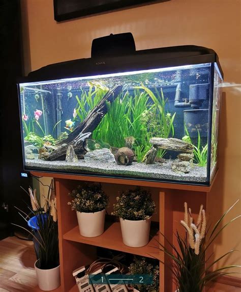 Akwarium Aquael 112l Zestaw Siepraw OLX Pl