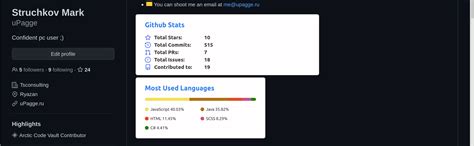 Card Size With Statistics Issue Anuraghazra Github Readme