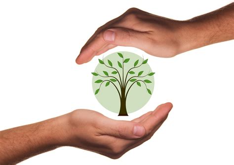 Details Logo De Cuidar El Medio Ambiente Abzlocal Mx
