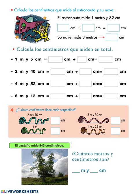 Medidas De Longitud Segundo Grado Primaria Bonito Para Imprimir