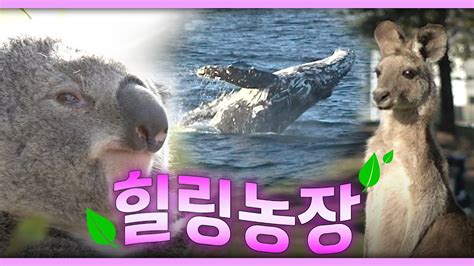 골프장에 캥거루 코알라가 웬 말이야 심지어 고래까지 볼 수 있는 힐링 포인트 YouTube