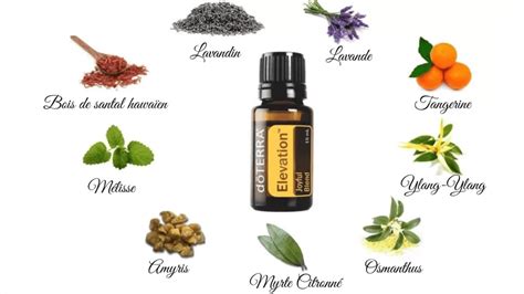 Huiles Essentielles Aphrodisiaques R Veillez Votre Sensualit