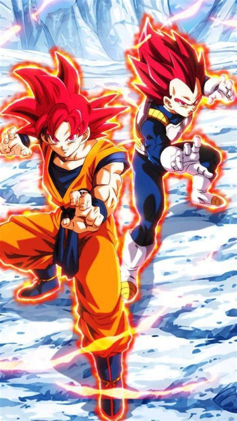Super Saiyan Gods Goku And Vegeta Dragon Ball Art Goku Anime Dragon
