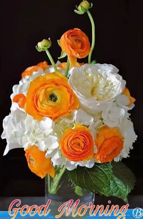 Top 999 Good Morning Images With Beautiful Flowers Amazing
