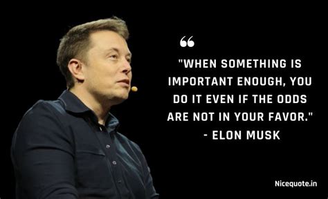 Elon Musk Quotes That Will Upgrade Your Thinking On Business And Success