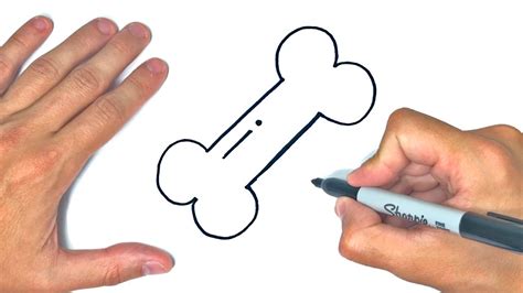 How To Draw A Bone Step By Step And Easy