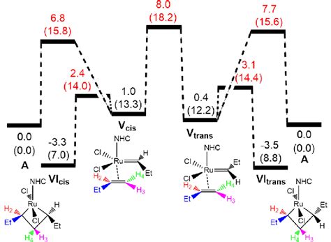 Computed Stationary Points For The Olefin Metathesis Reaction Pathway